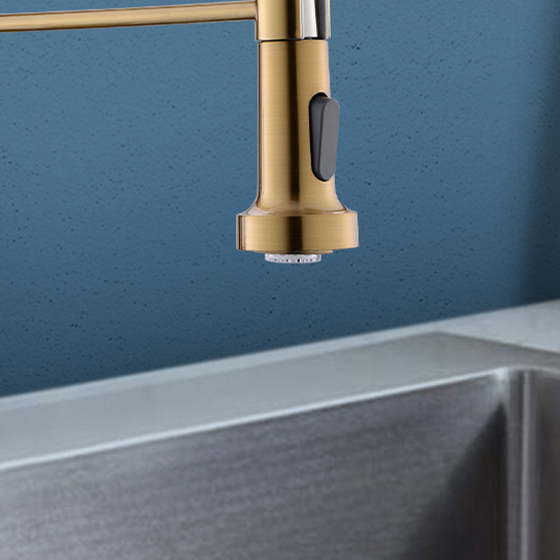 Topcraft Pull Down Kitchen Faucet | Wayfair