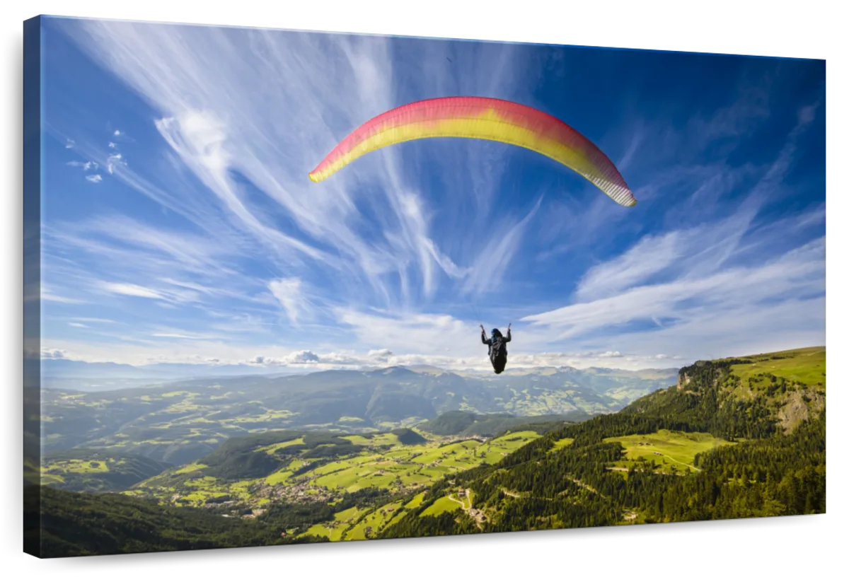 Elephant Stock Powered Paraglider | Wayfair