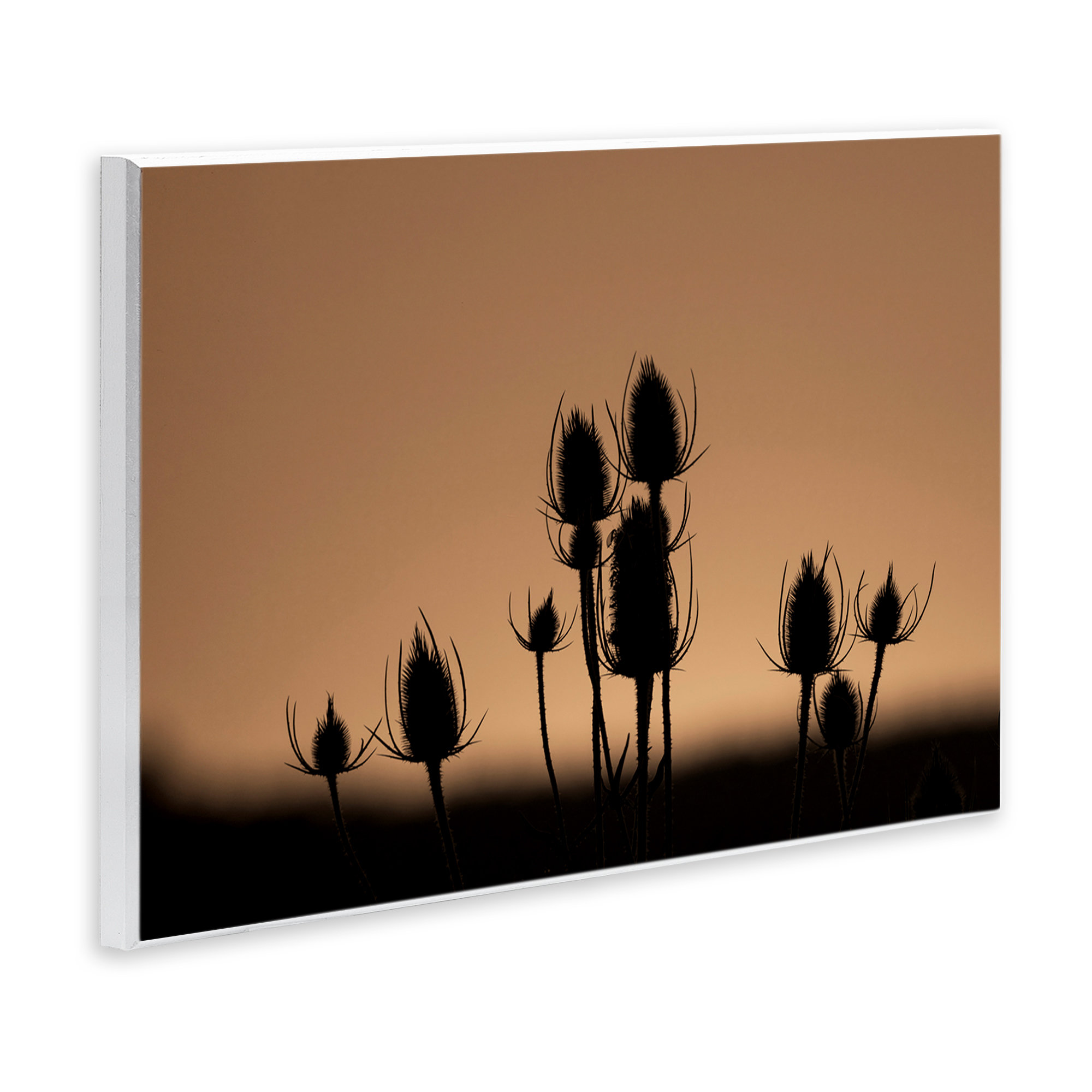 Ebern Designs Botanical Sprigs Silhouettes Wall Plaque Art by Nancy ...