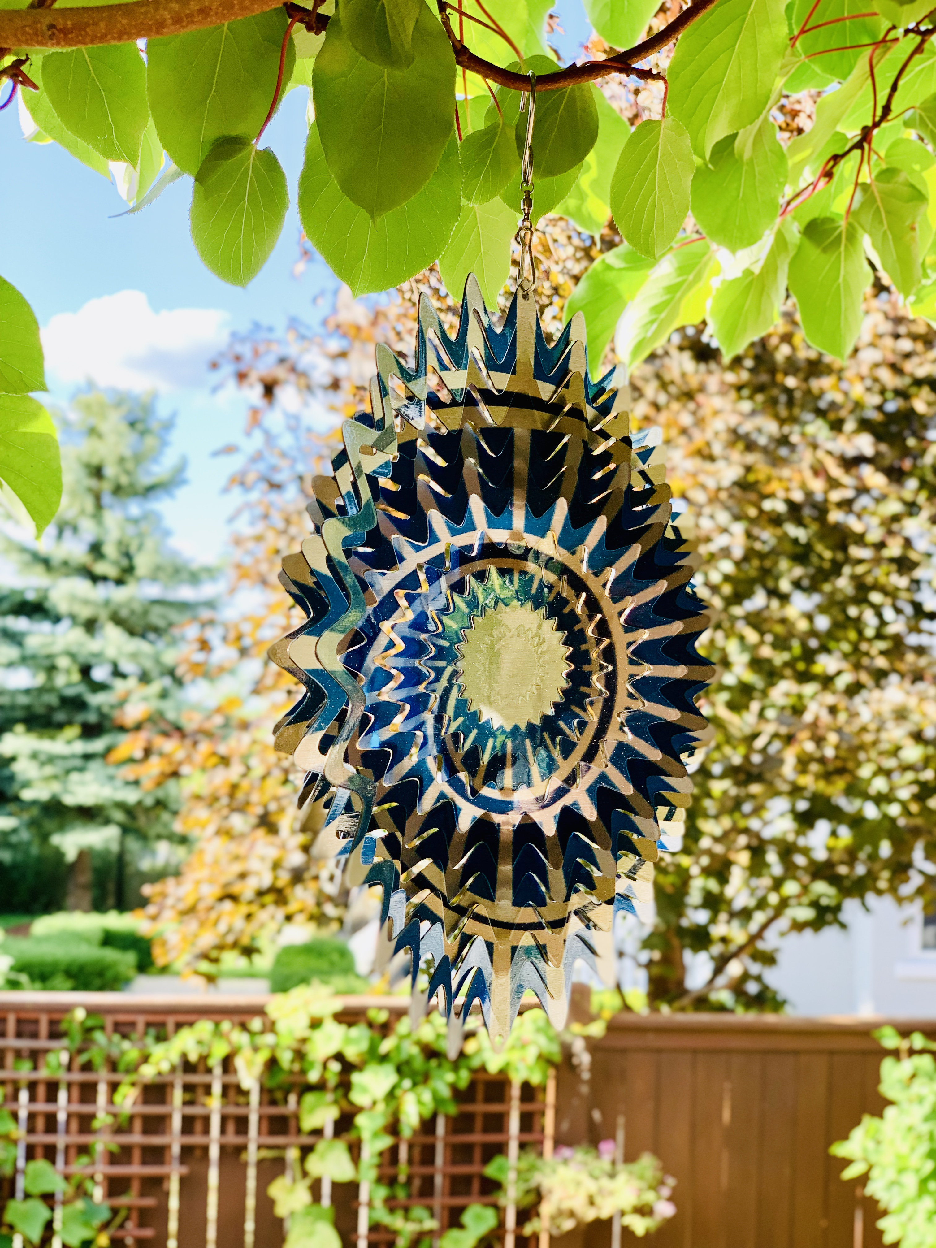 Wrought Studio™ Curameng 3D Hanging Spiral Nova Splash Rotator | Wayfair