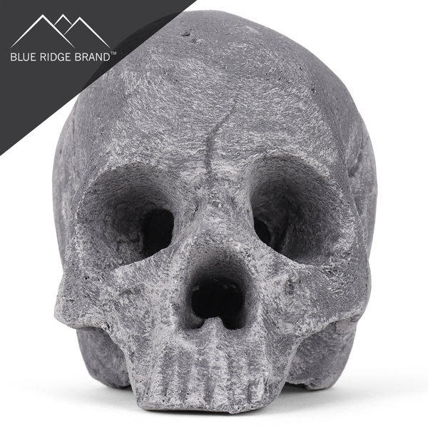 Blue Ridge Brand Skeleton Head/Skull Decor For Outdoor Fire Pit | Wayfair