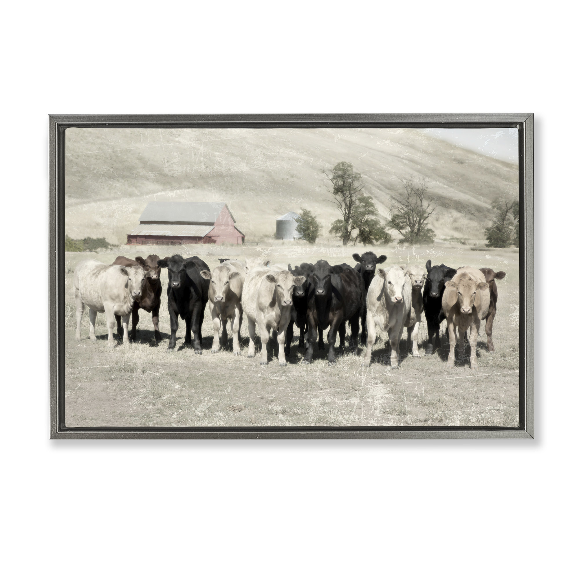 Gracie Oaks Varied Cattle on Farm Framed Floater Canvas by Rhonda ...