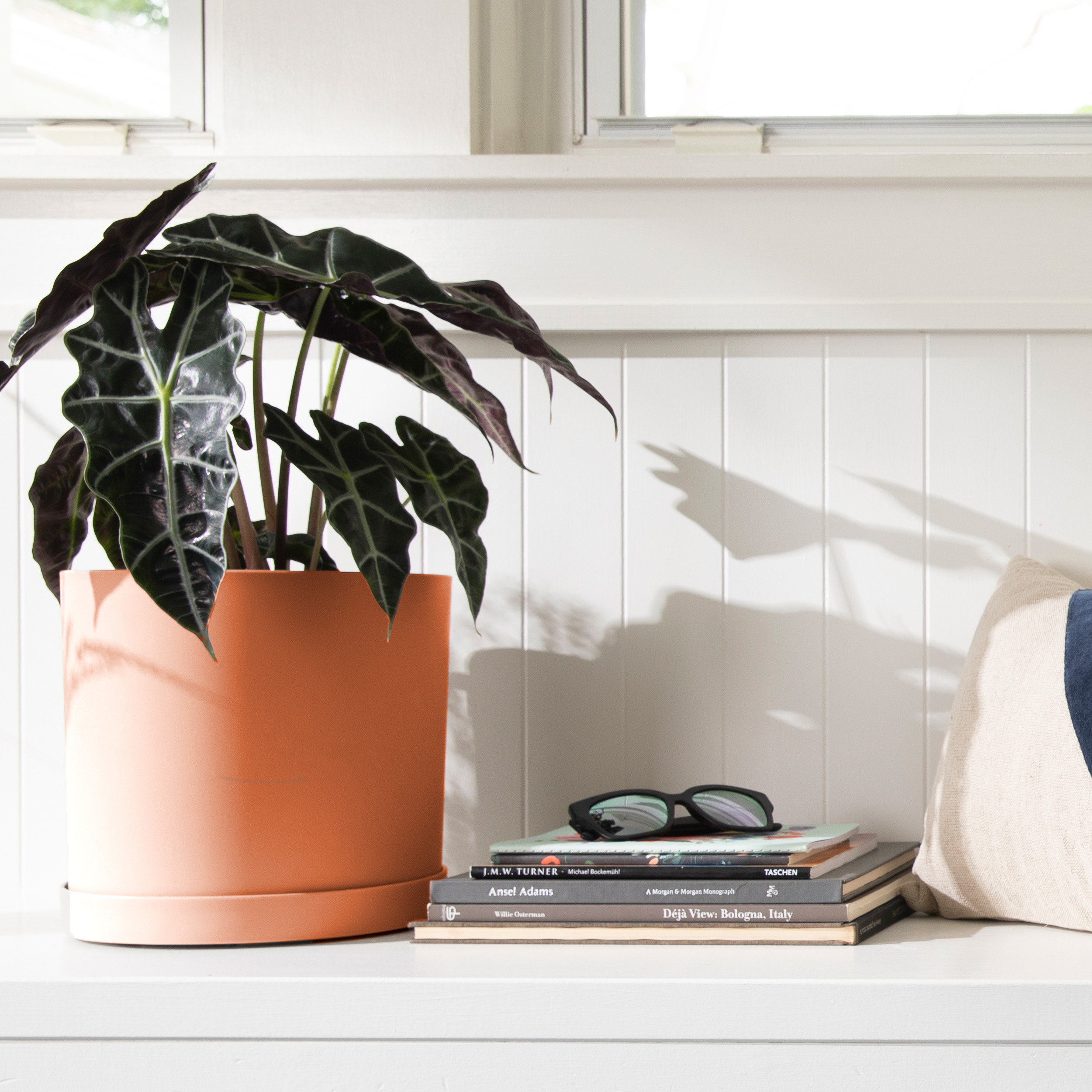 Latitude Run® Mathers Planter W/ Saucer Tray 10" Muted Terra Cotta ...