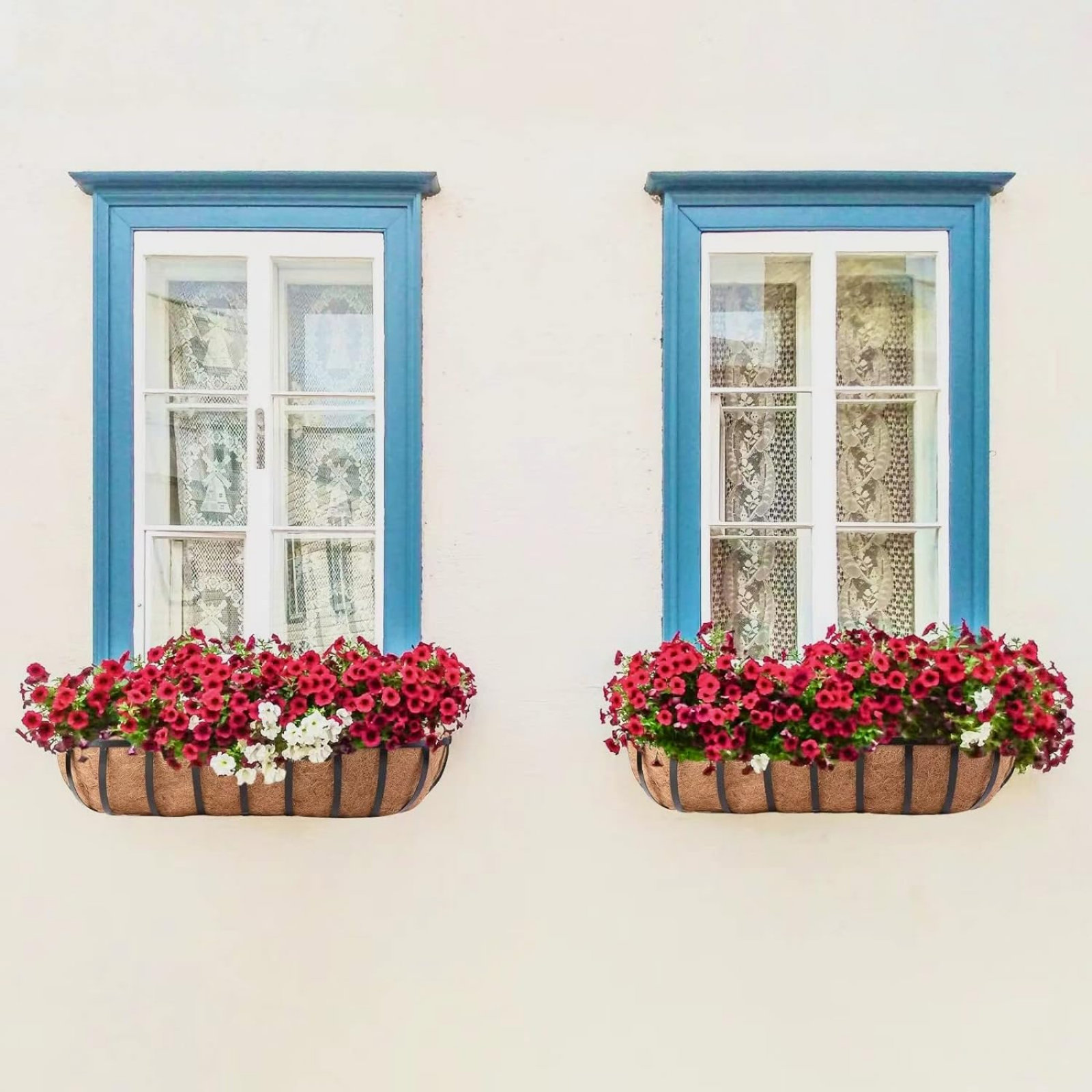 17 Stories 30-Inch Window Box Planter Set Of 4 For Deck Railing ...