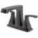 CMI Cardania Centerset 2-handle Bathroom Faucet with Drain Assembly ...