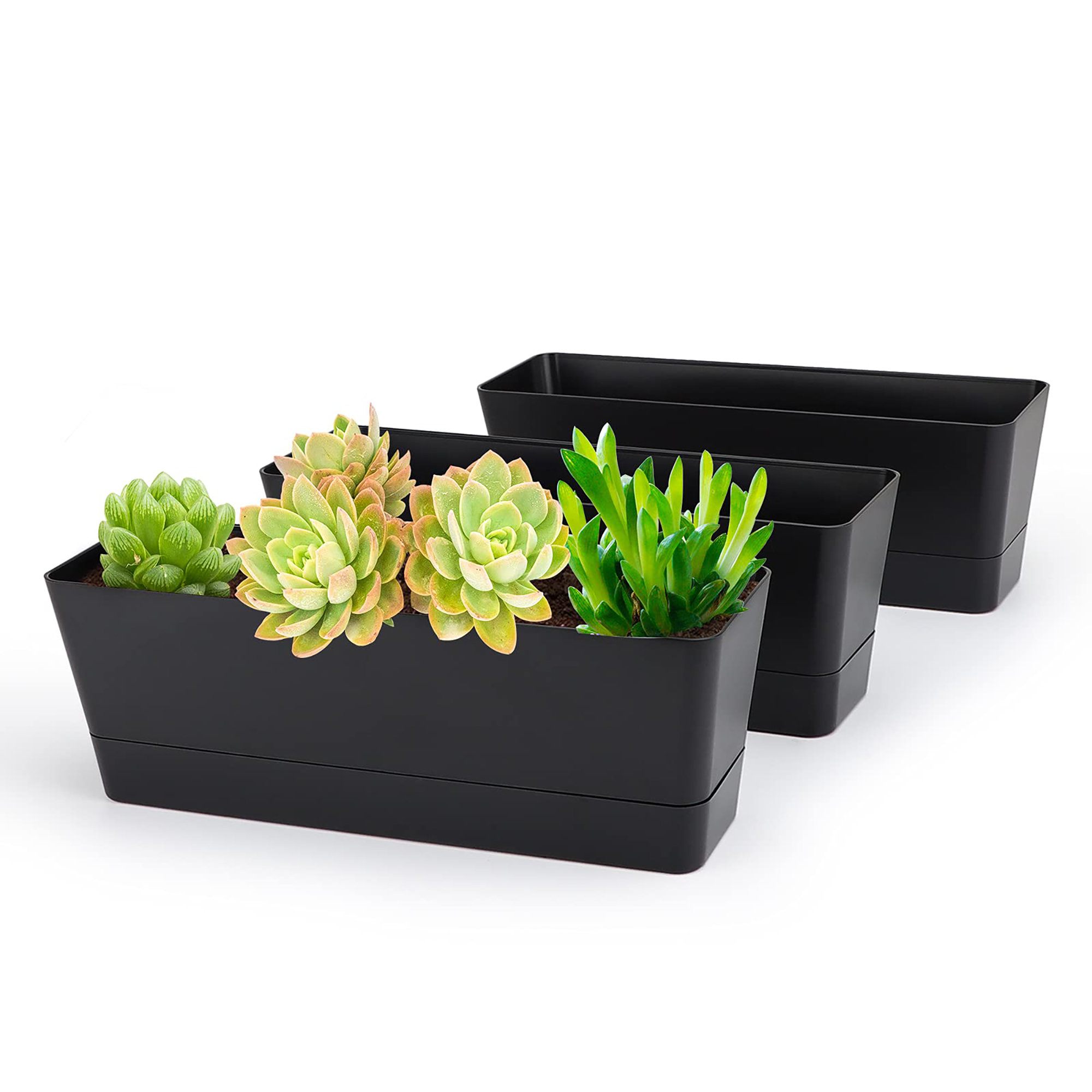 Arlmont & Co. Plastic Window Planters - 3 Pack, 3.8, for Indoor/Outdoor ...