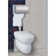 WhiteStone White Stone LPF Wall Mounted Kit (Seat Not Included ...