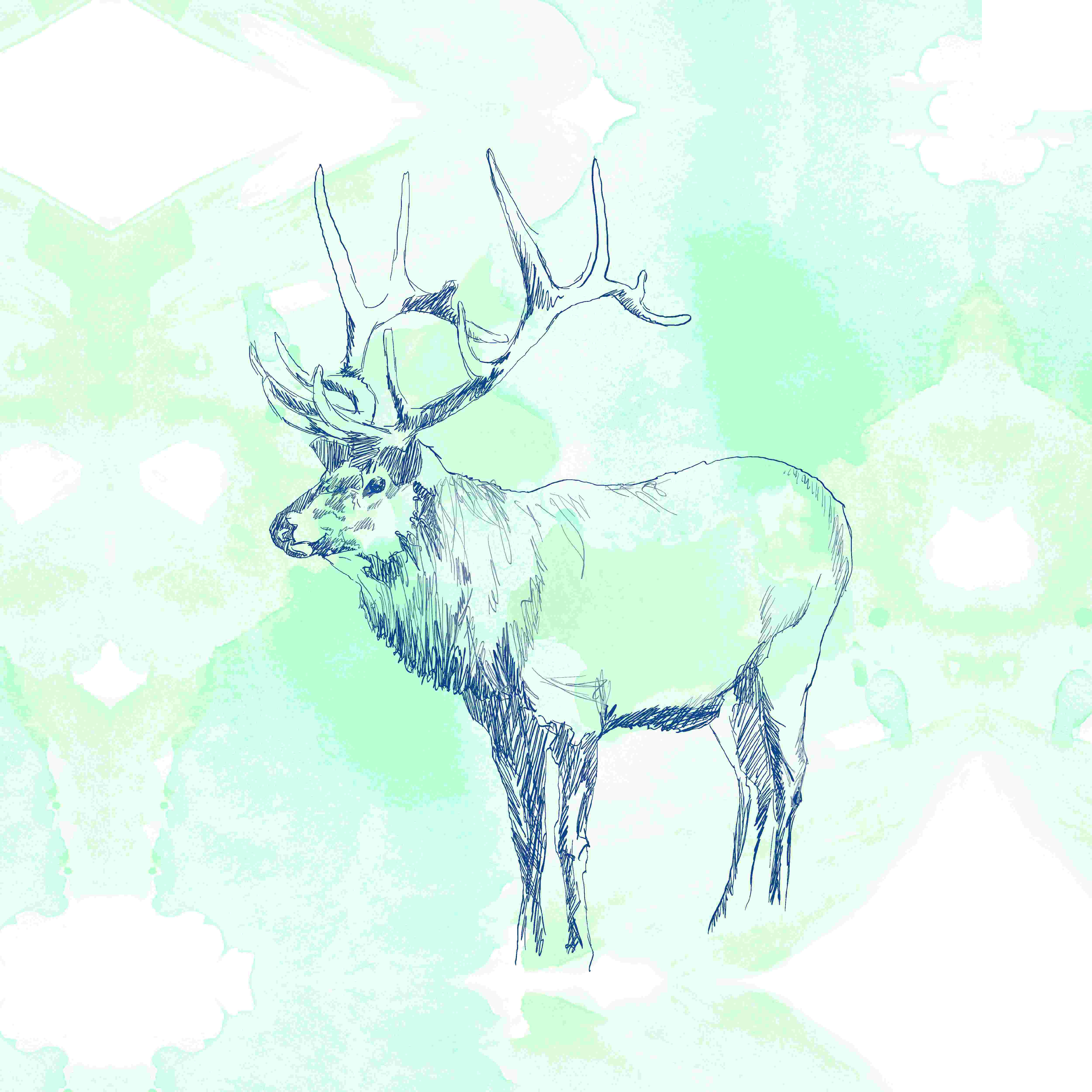 Millwood Pines Light Watercolor Blue Elk - Wayfair Canada