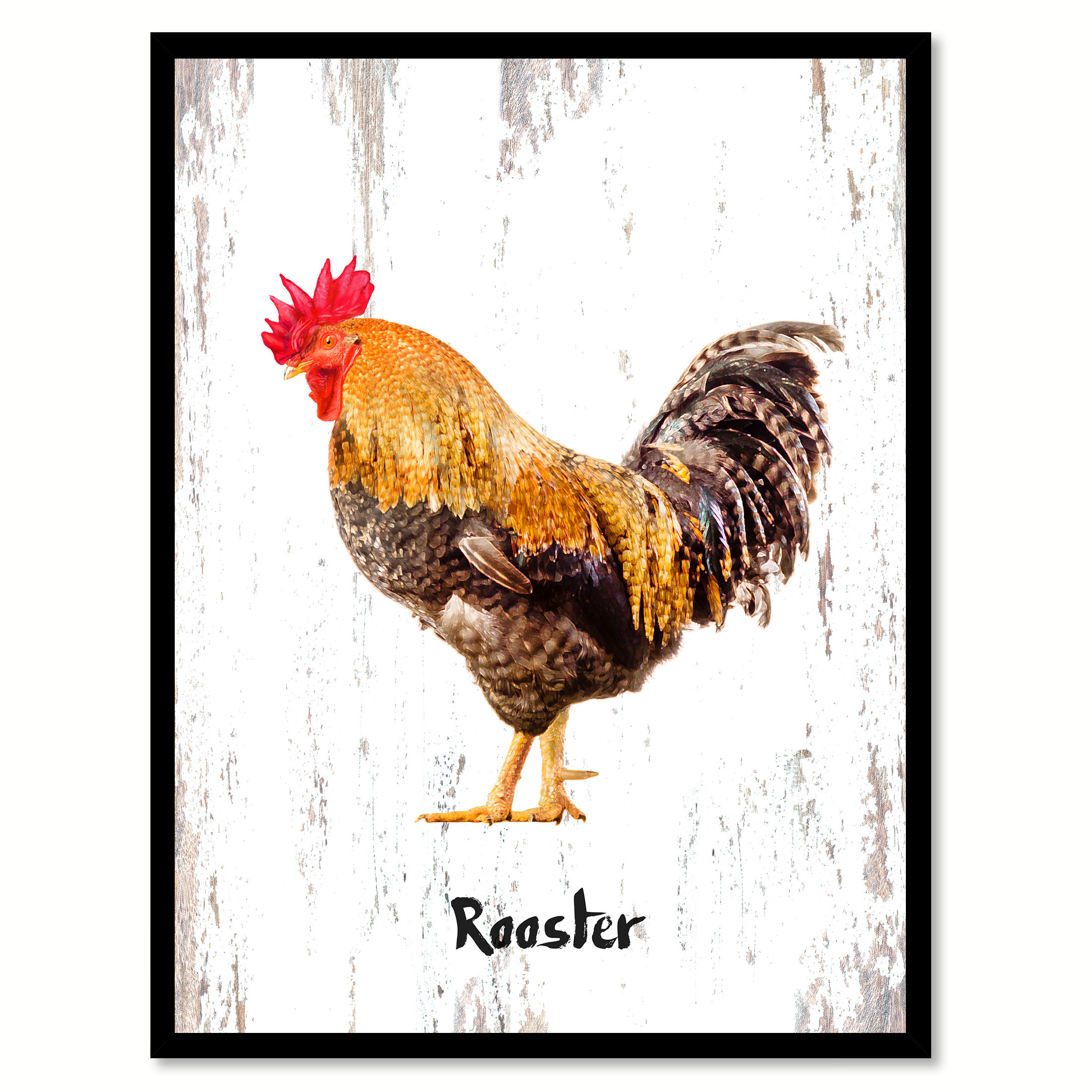 August Grove® Rooster Bird Canvas Print, 28x37 | Wayfair