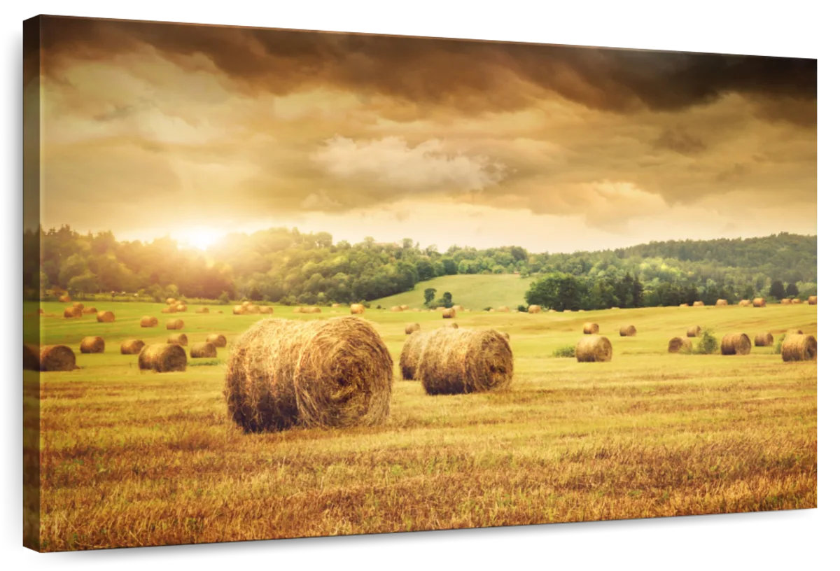 Bungalow Rose Kerrick Golden Hay Bales | Wayfair