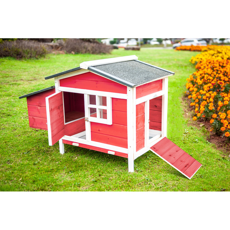 Tucker Murphy Pet™ Daundre 5.64 Chicken Coop with Nesting Box & Reviews ...