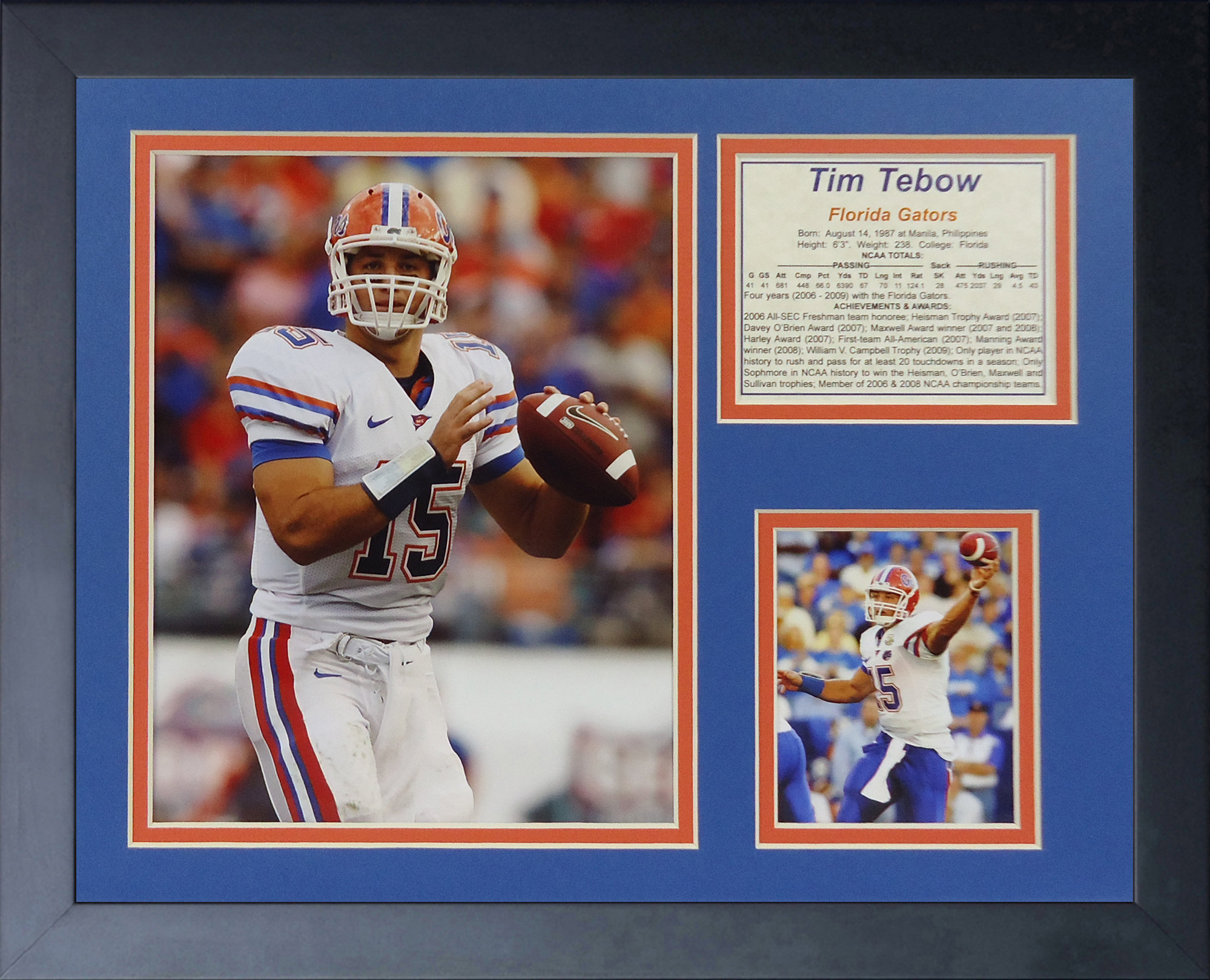 Legends Never Die Tim Tebow - Gators Away Framed Memorabilia - Wayfair ...