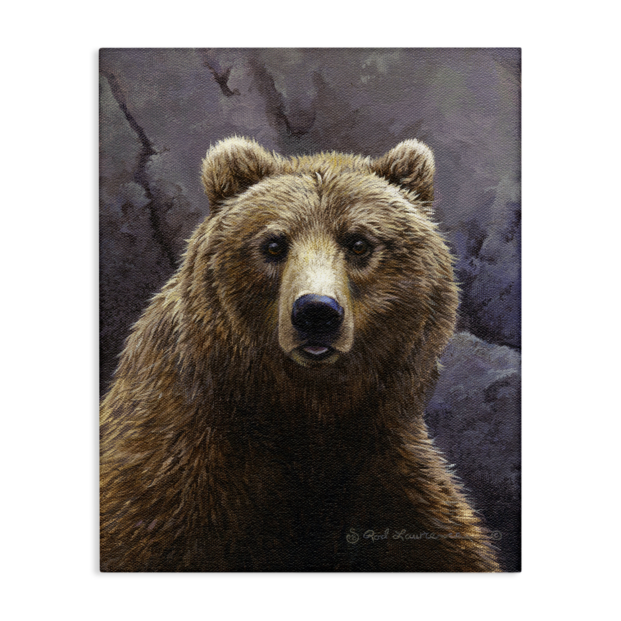 Millwood Pines Surprised Bear Portrait Canvas Wall Art by Rod Lawrence ...