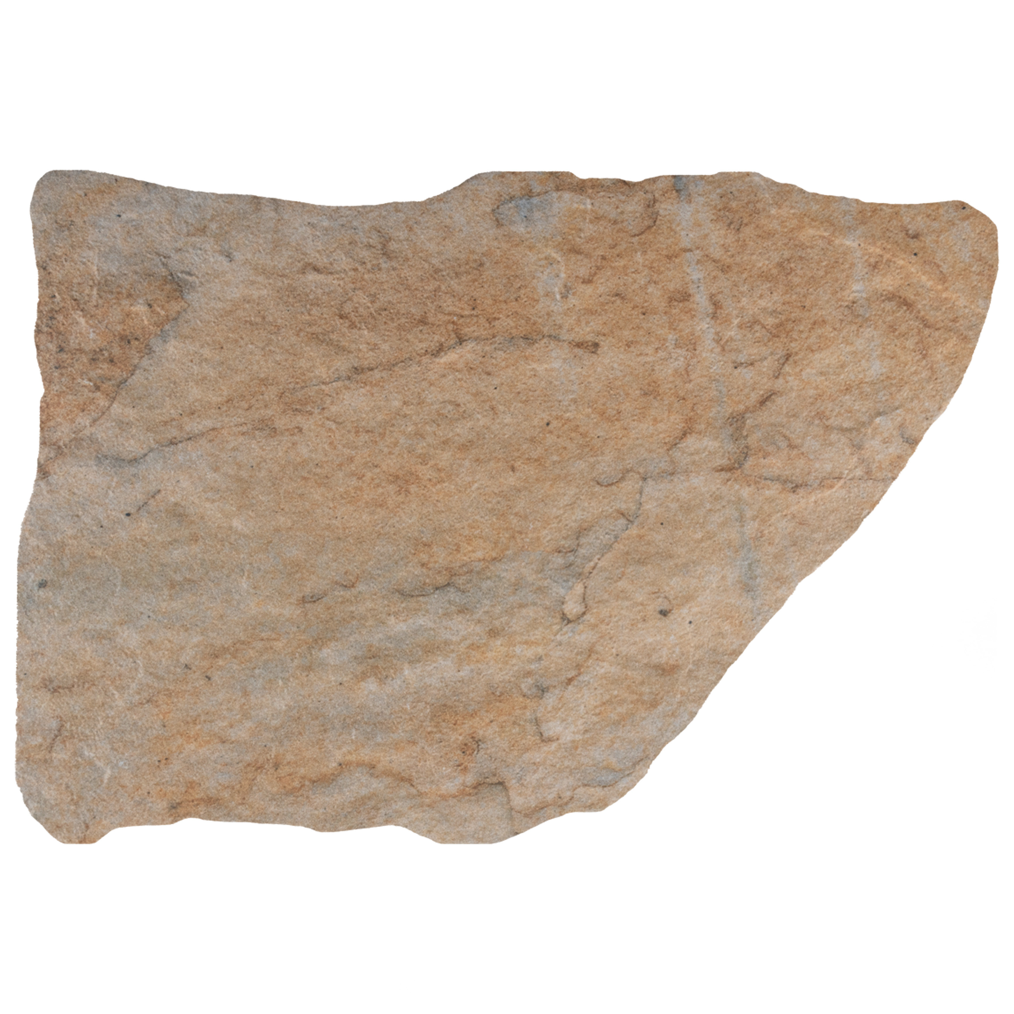 Merola Tile Montesa 8" x 12" Porcelain Stone Look Wall & Floor Tile ...