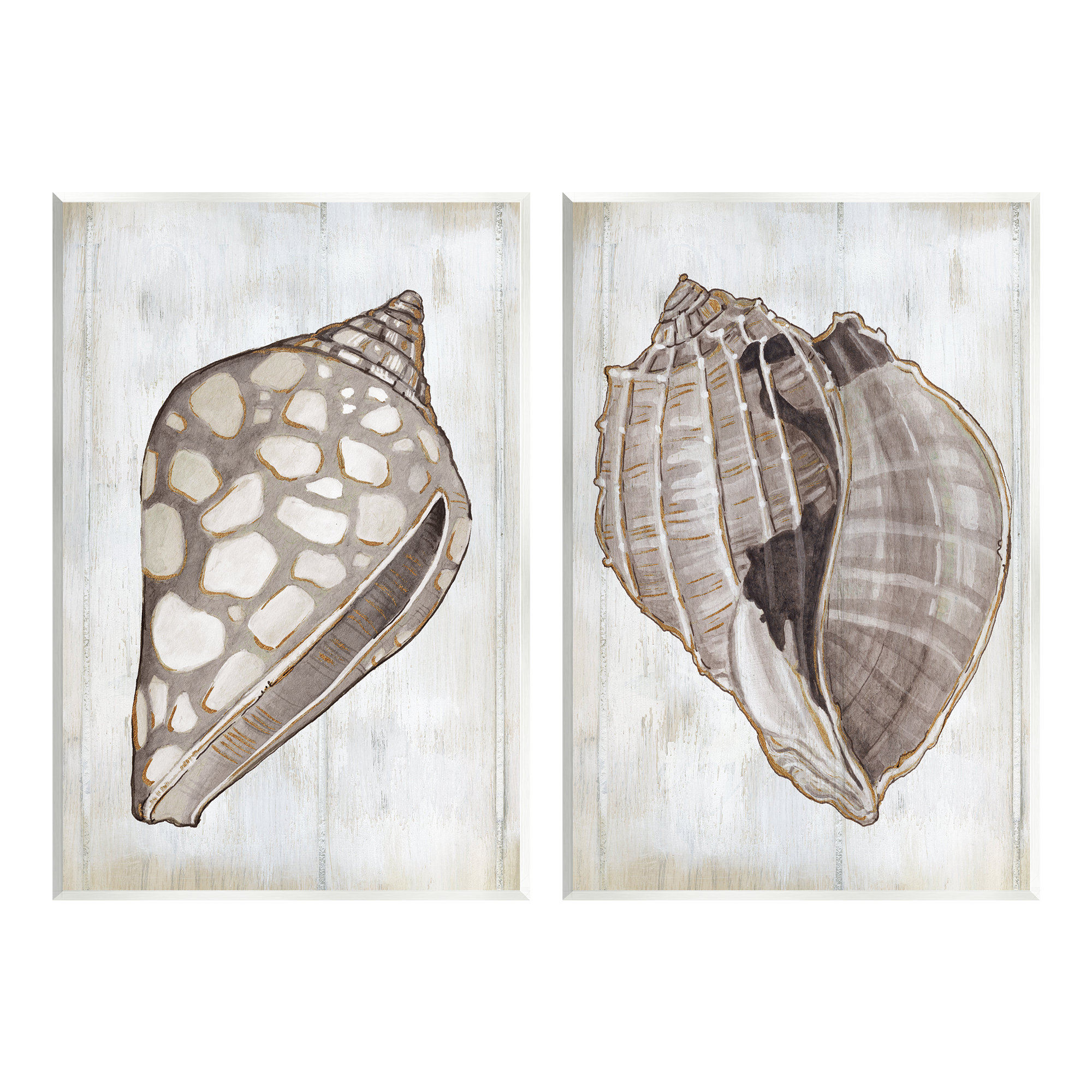 Stupell Industries Spotted Seashell Rustic Marine Life Beach Sign 2 ...