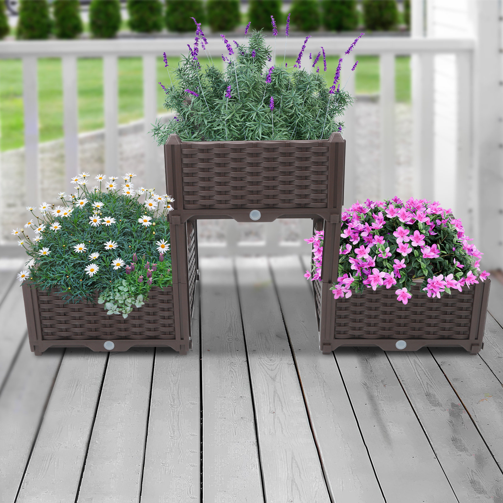 Arlmont & Co. Planter Raised Bed - Wayfair Canada