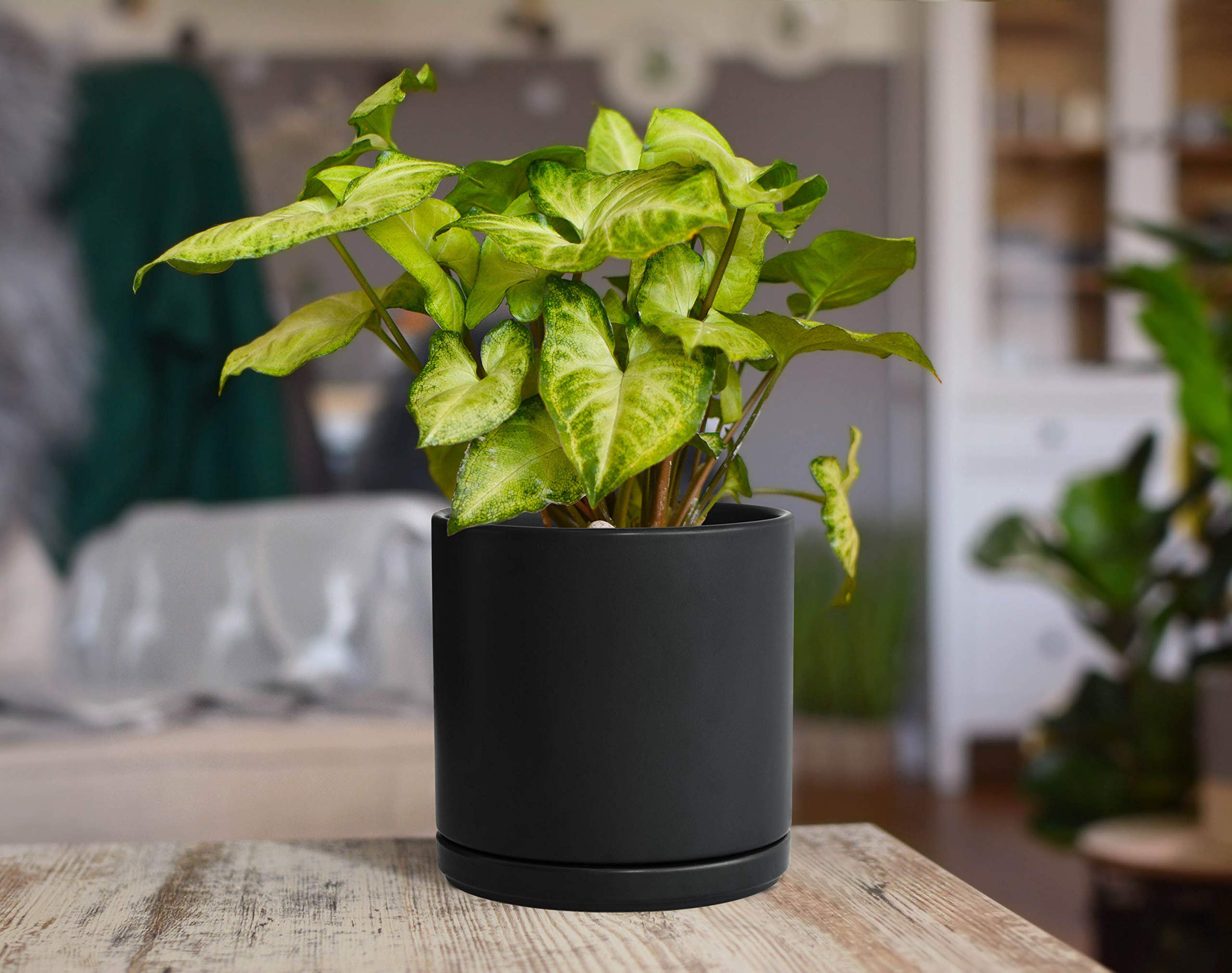 Latitude Run® Pot à fleur en céramique Marshgate - Wayfair Canada