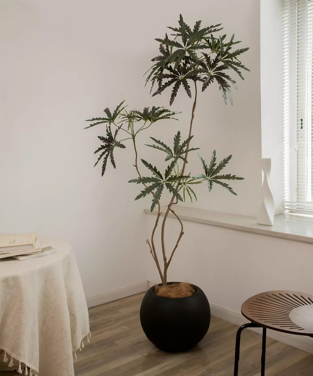 Feel High Pillows TM811159989685FHP&Color&Size 30.31'' Bonsai Plant in ...