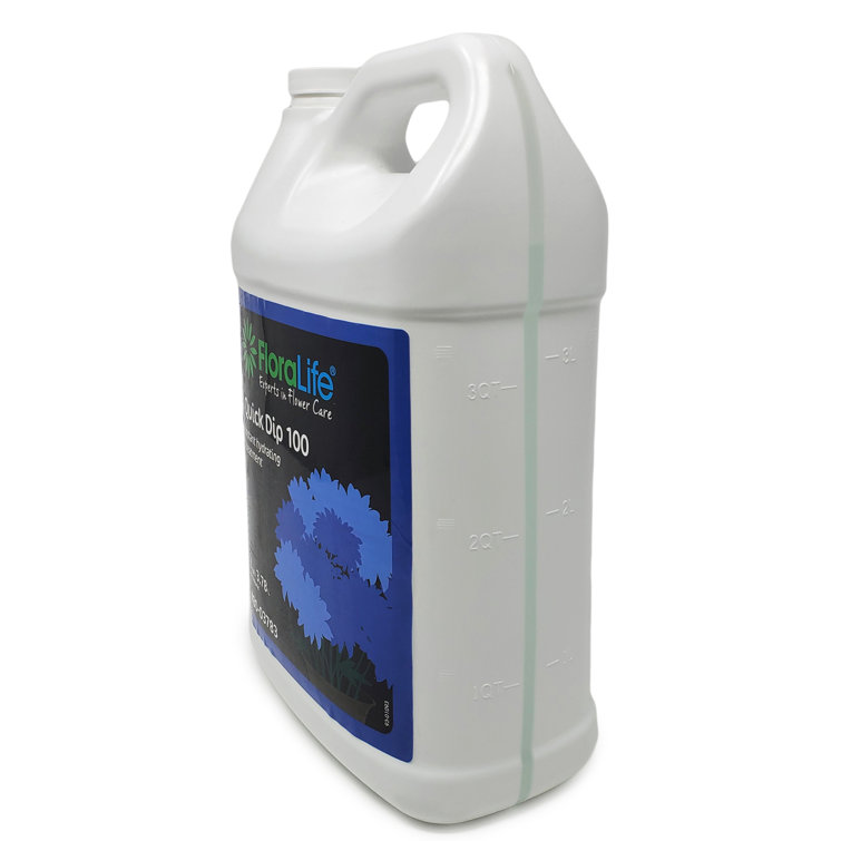 FloraLife Growing Kit Flowers - Wayfair Canada