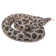 Hi-Line Gift Ltd. CURLED UP PYTHON STATUE | Wayfair