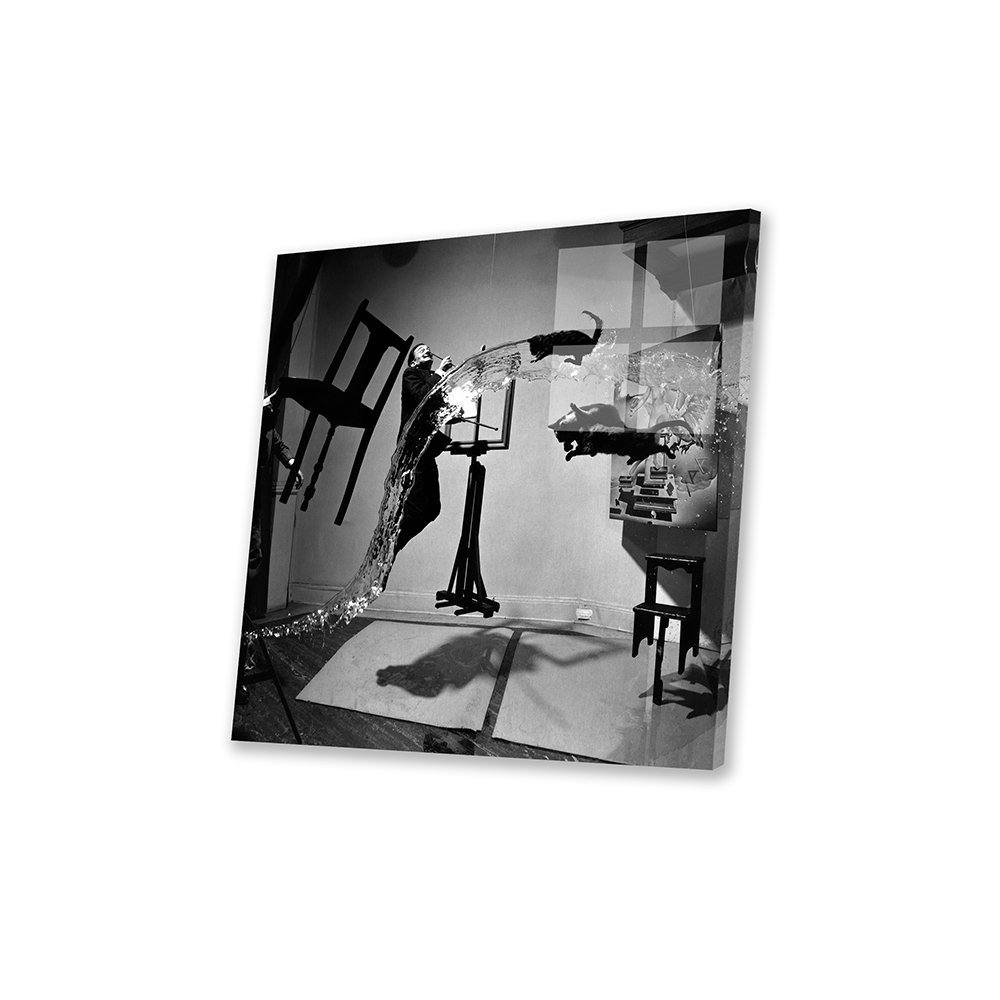 Latitude Run® Dali Atomicus by Philippe Halsman - Unframed Graphic Art ...