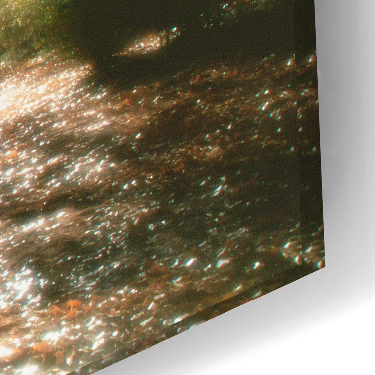 Red Barrel Studio® Trembling On Plastic / Acrylic by Thomas Haney Print ...
