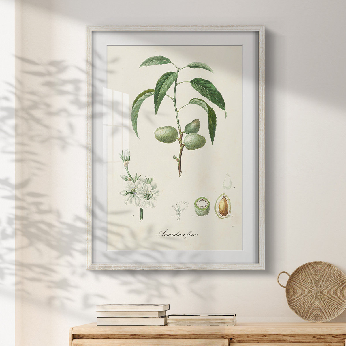 August Grove® Cayden -Gallery Wrapped Canvas | Wayfair