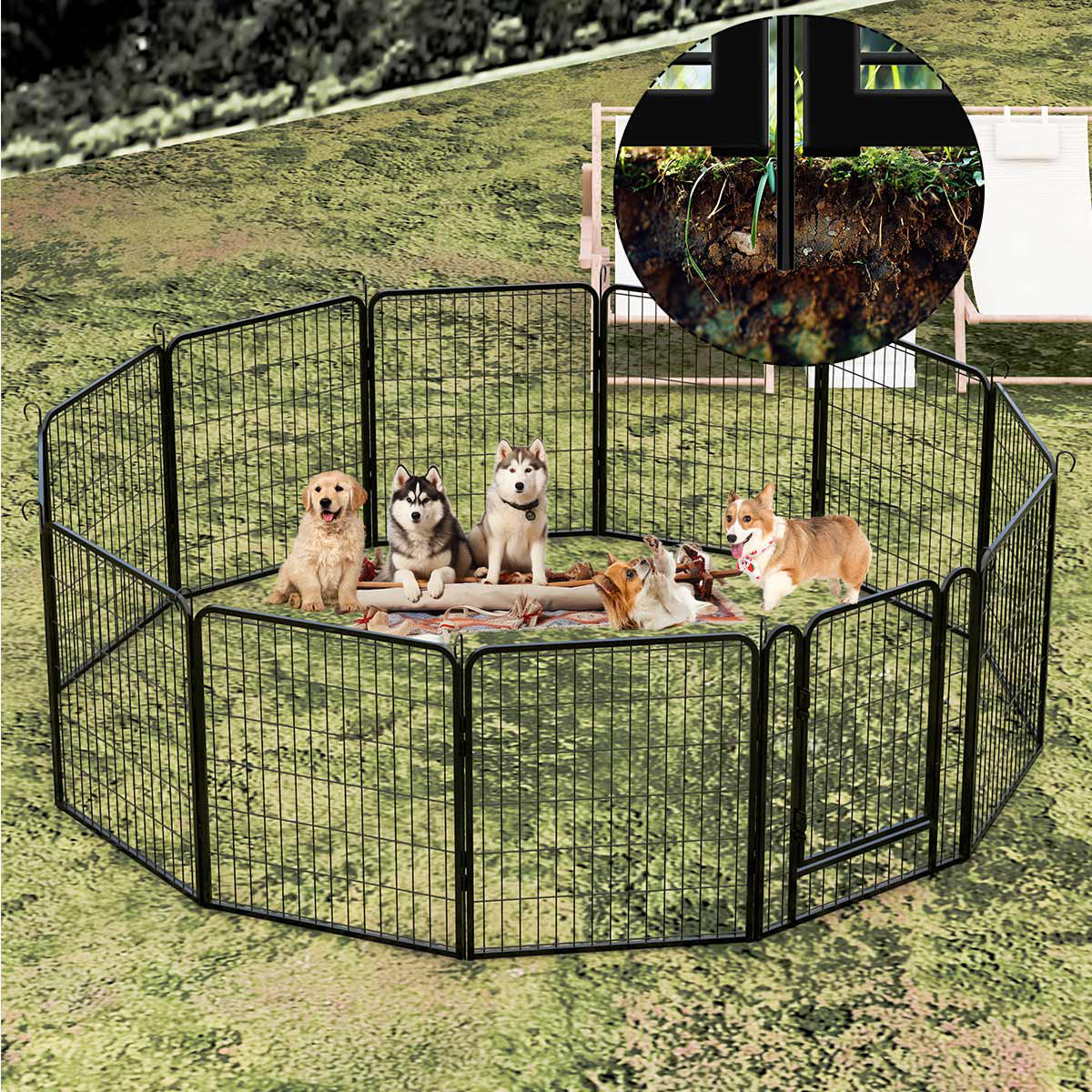 TOLOYE 31.7'' H 12 Panel Metal Exercise Pen With Pet Door | Wayfair