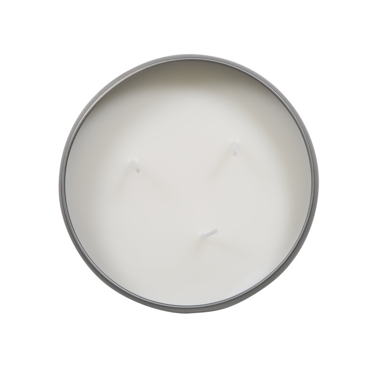 Stansport Insect Repellent Citronella Candle - 3-Wick | Wayfair