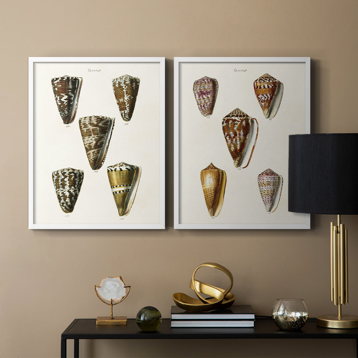Wrought Studio™ Cone Shell Collection V-Premium Framed Print -Ready to ...