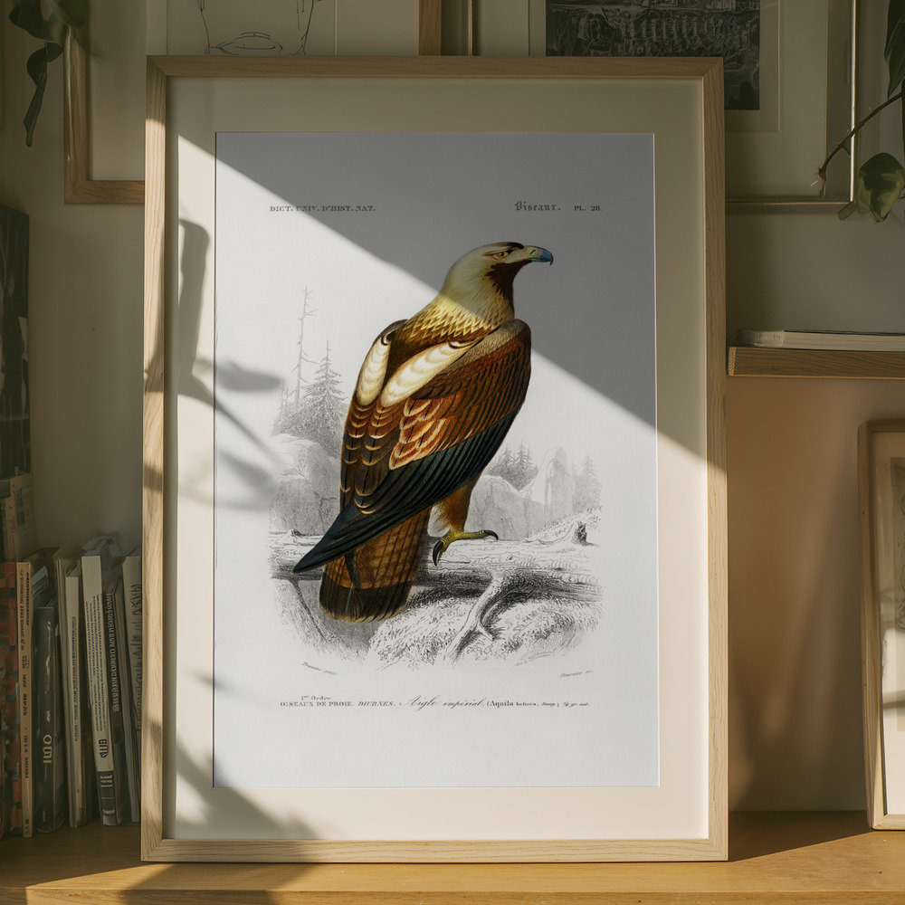 Union Rustic Eastern Imperial Eagle | Wayfair.co.uk