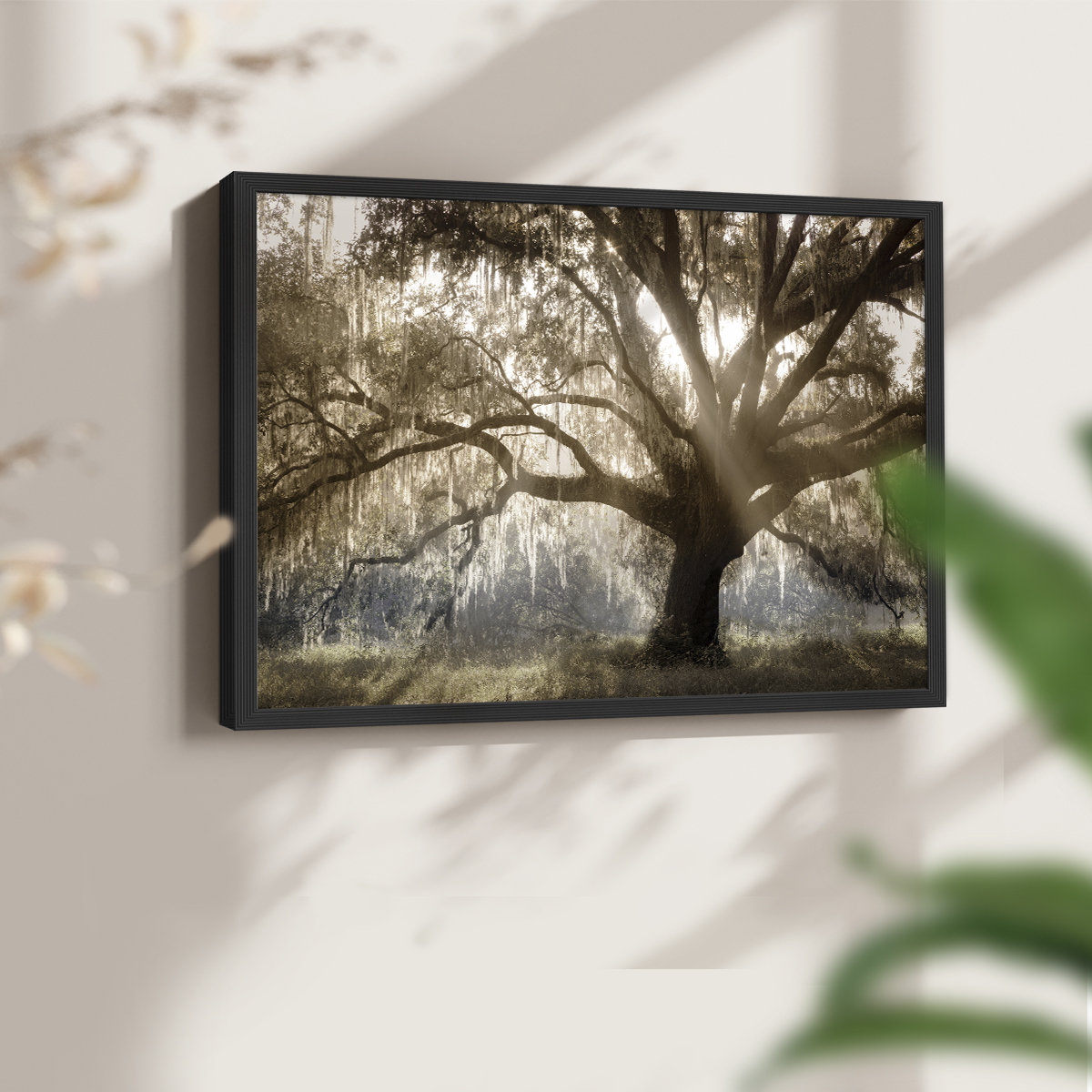 Millwood Pines Virginia Oak -Framed Print - Restickable | Wayfair