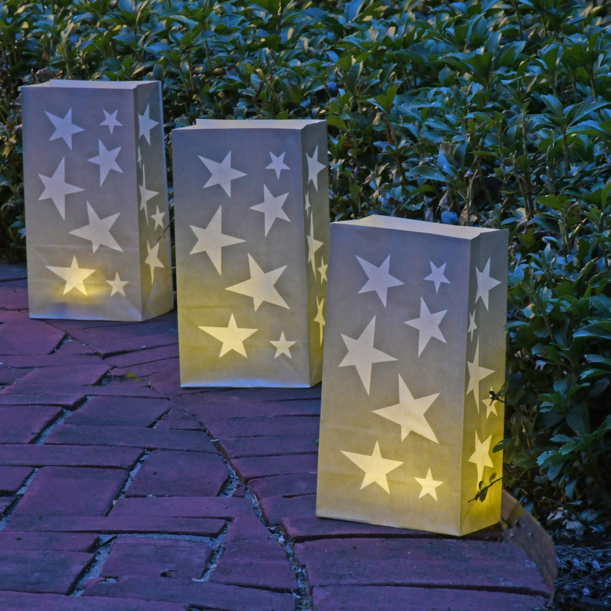The Holiday Aisle® Maxon Paper Luminaria Bags, Silver Star - 24 Count ...