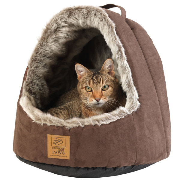 Archie & Oscar Gareth Hooded Arctic Fox Bed & Reviews | Wayfair.co.uk