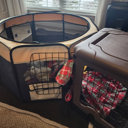 Precision Pet 8 Panel Fabric Exercise Pen With Door & Reviews | Wayfair