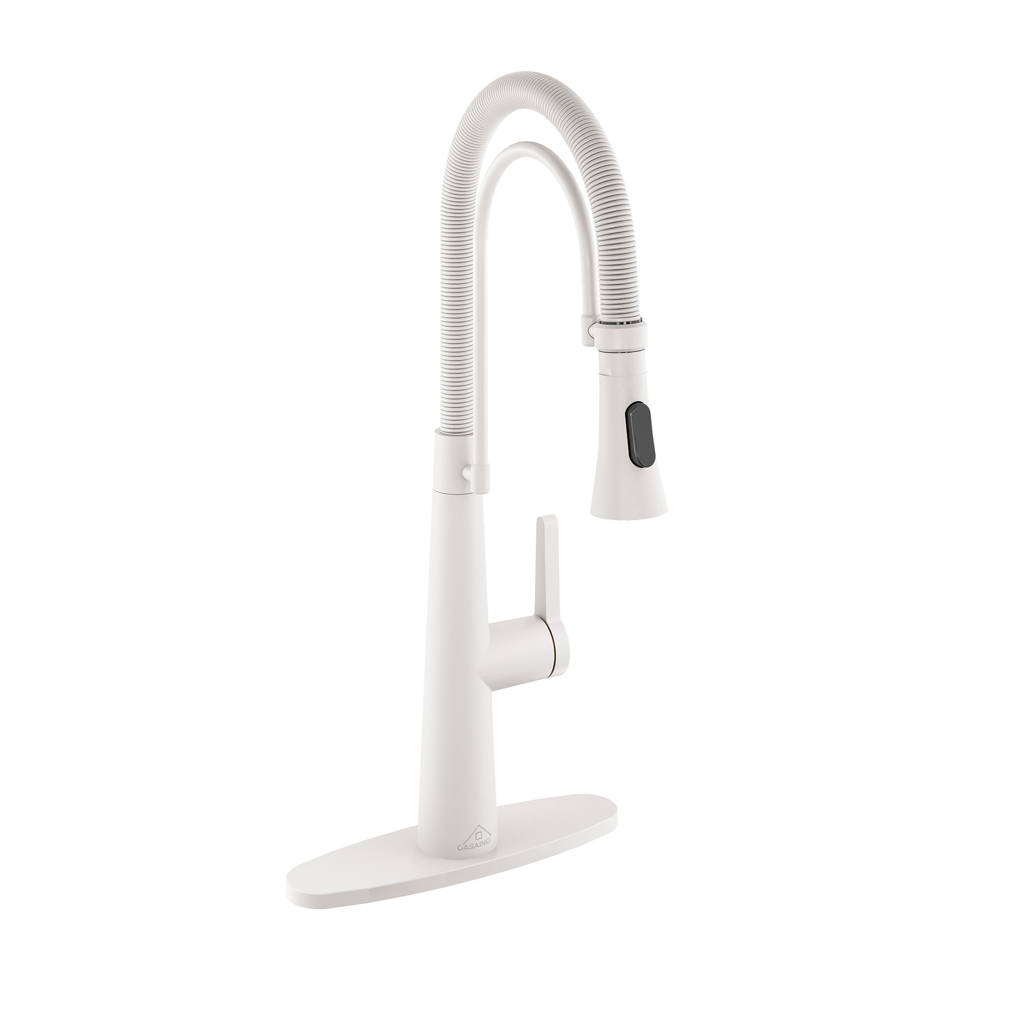 CASAINC Spring Neck Standard Kitchen Faucet with Dual-Function spray ...