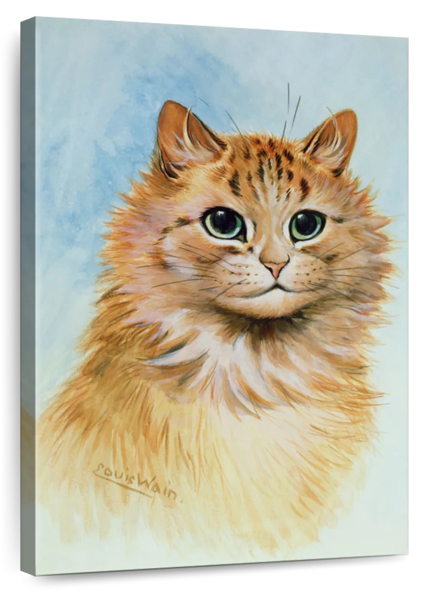 Winston Porter Ginger Tom | Wayfair