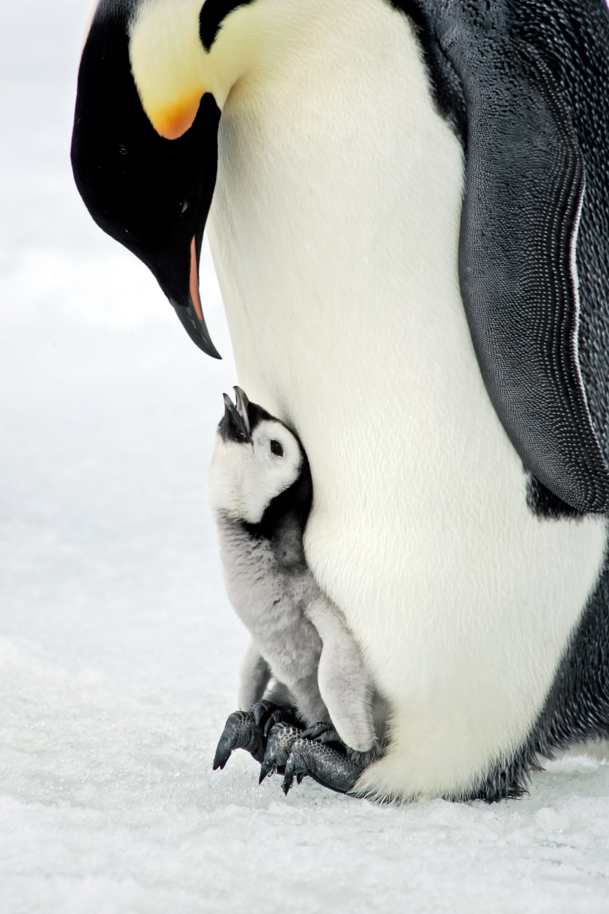 Highland Dunes Quality Time by Keithszafranski | Wayfair