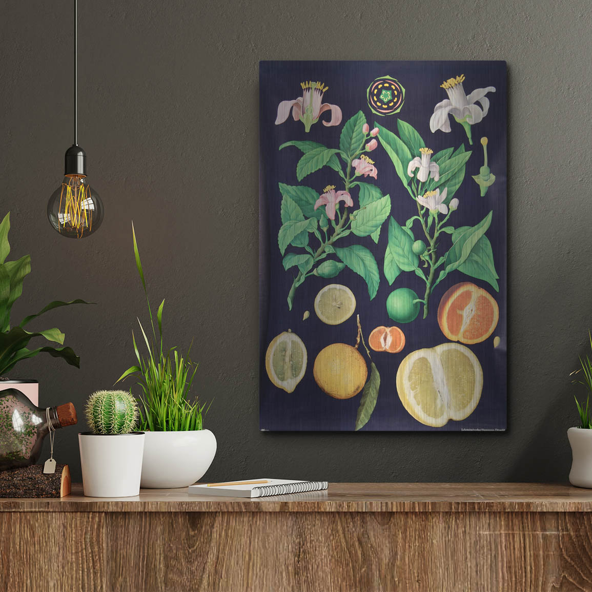 August Grove® Luxe Metal Art 'Citrus' By Vintage Posters, Metal ...