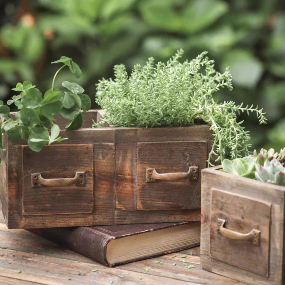 Millwood Pines Farmhouse Wooden Box for Succulents or Flowers | Wayfair