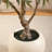 Primrue 8ft Artificial Olive Tree with 18in White Planter, Tall Faux ...