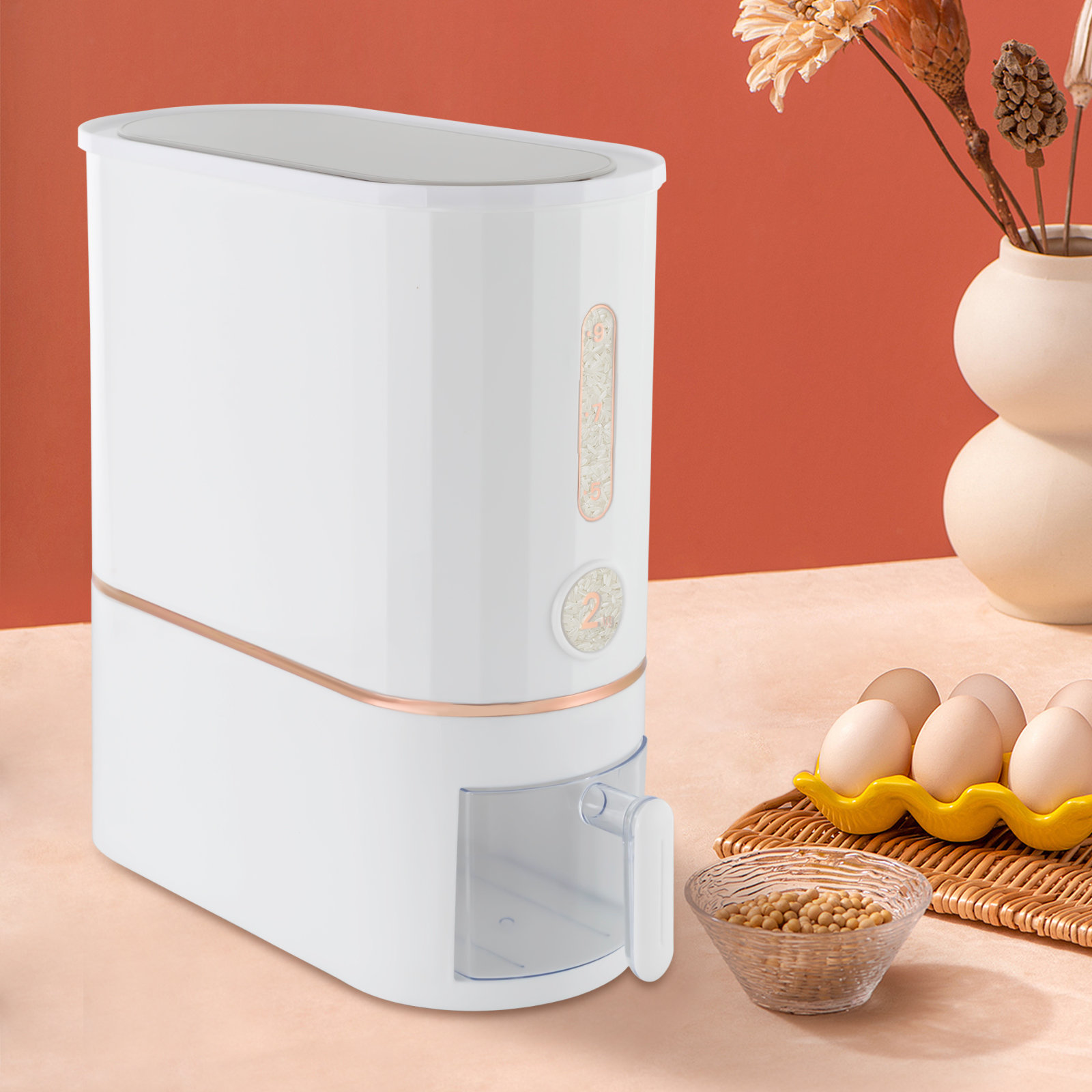 Prep & Savour 10kg Rice Cereal Dispenser Storage Box | Wayfair