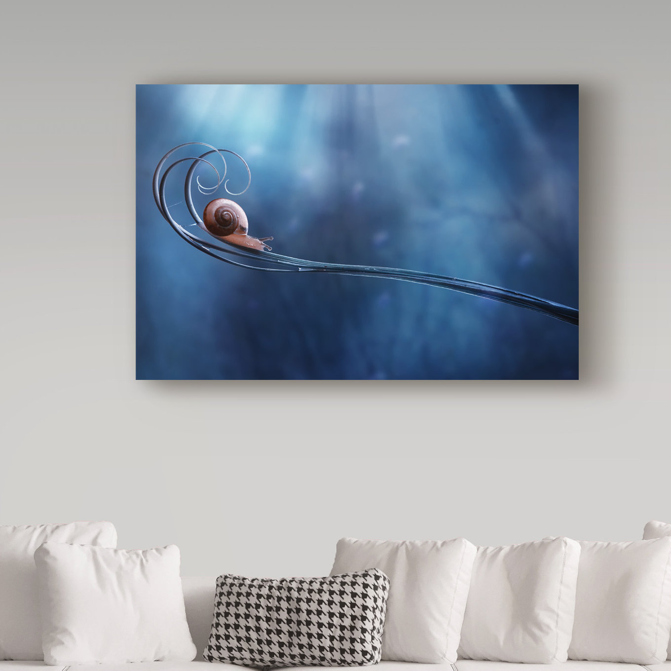 Trademark Fine Art 'Beautiful Snail' Graphic Art Print on Wrapped ...