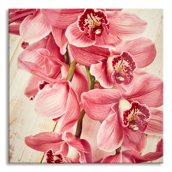 Brayden Studio Orchid Flowers - No Frame Print on Glass | Wayfair.co.uk