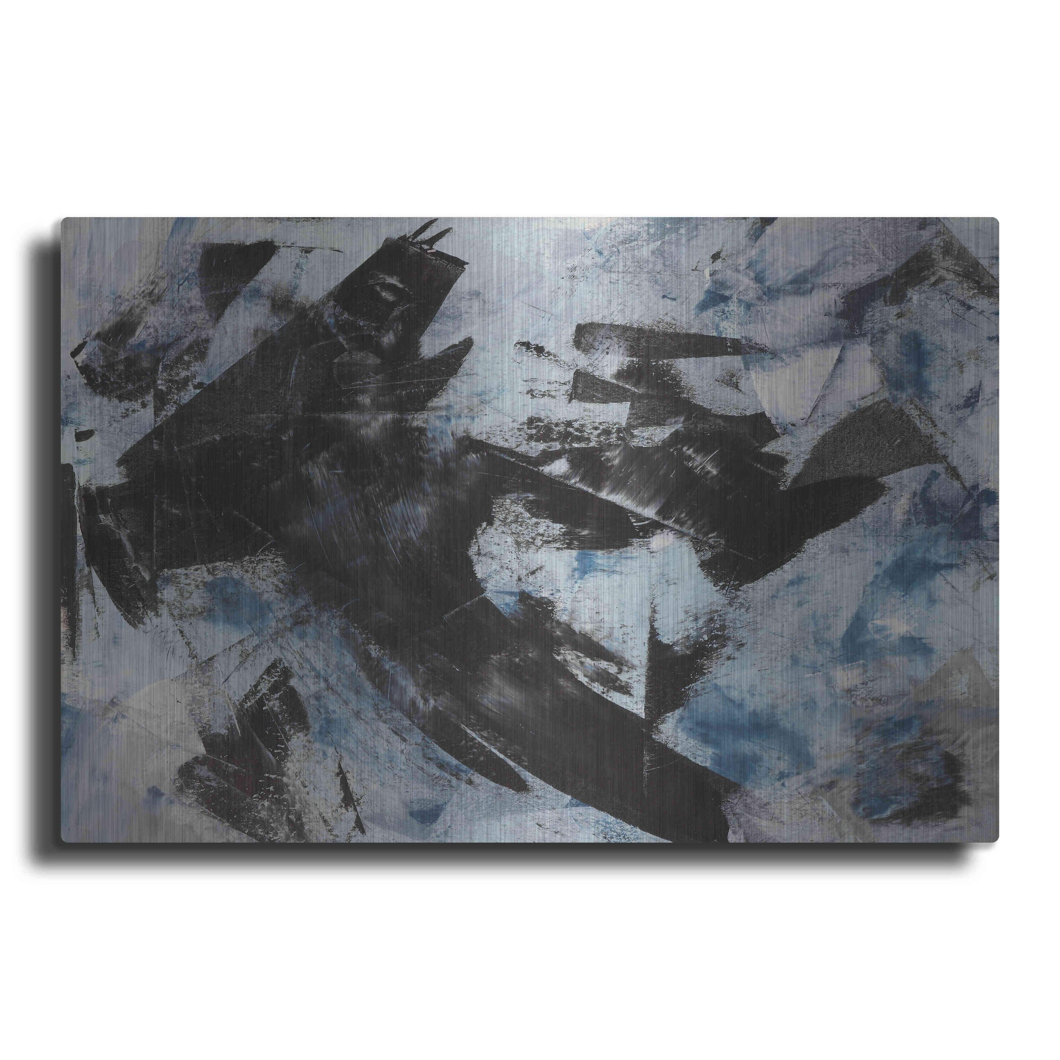 Ivy Bronx Raven by Natasha - Unframed Print on Metal | Wayfair