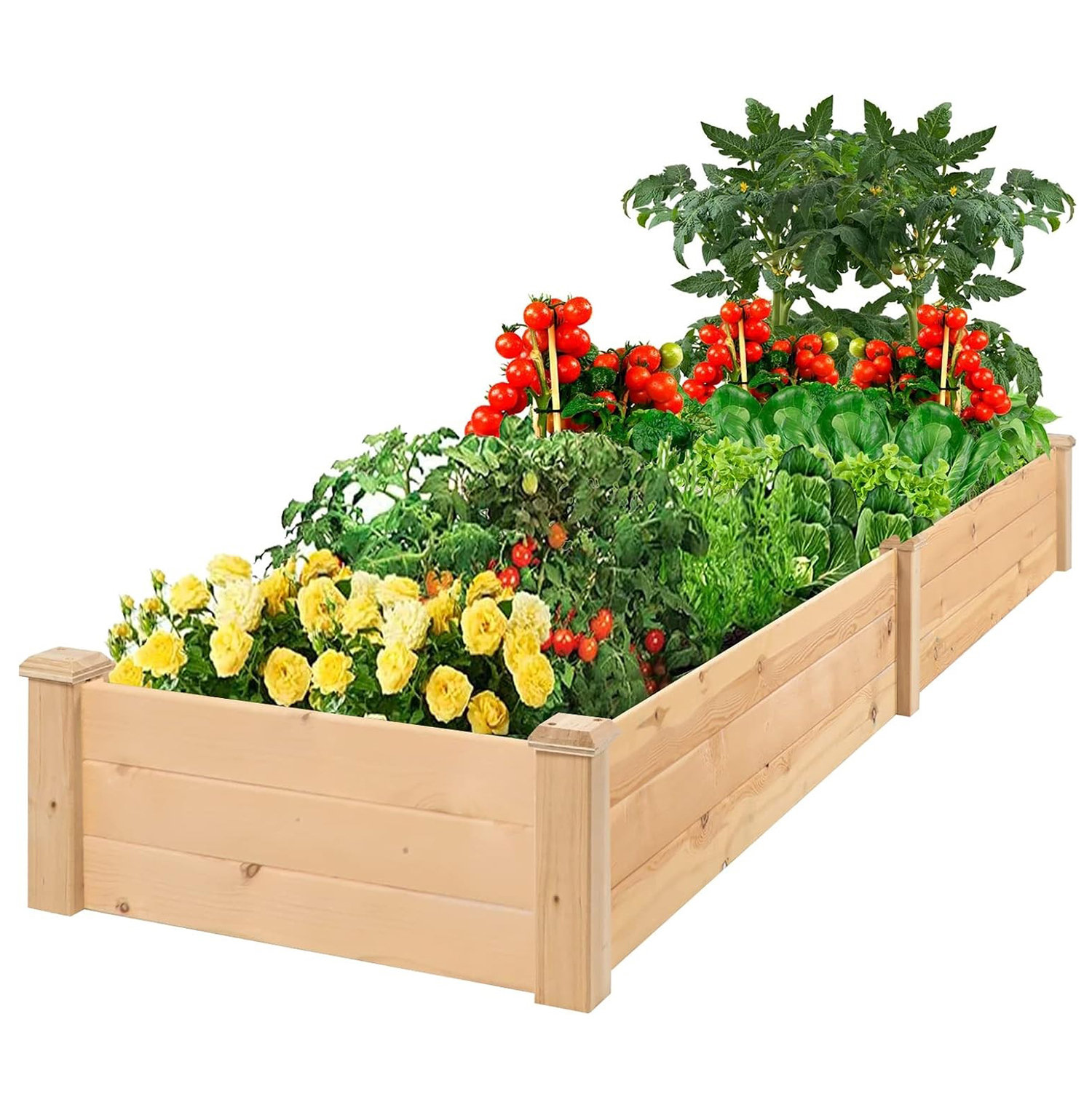 Loon Peak® Mclawhorn 8 ft x 2 ft Wood Raised Garden Bed & Reviews | Wayfair