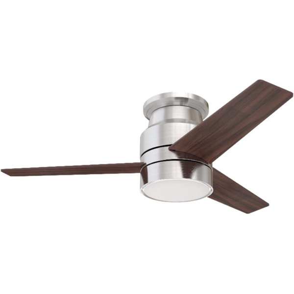 Latitude Run® Caliopia 42'' Ceiling Fan with LED Lights & Reviews | Wayfair