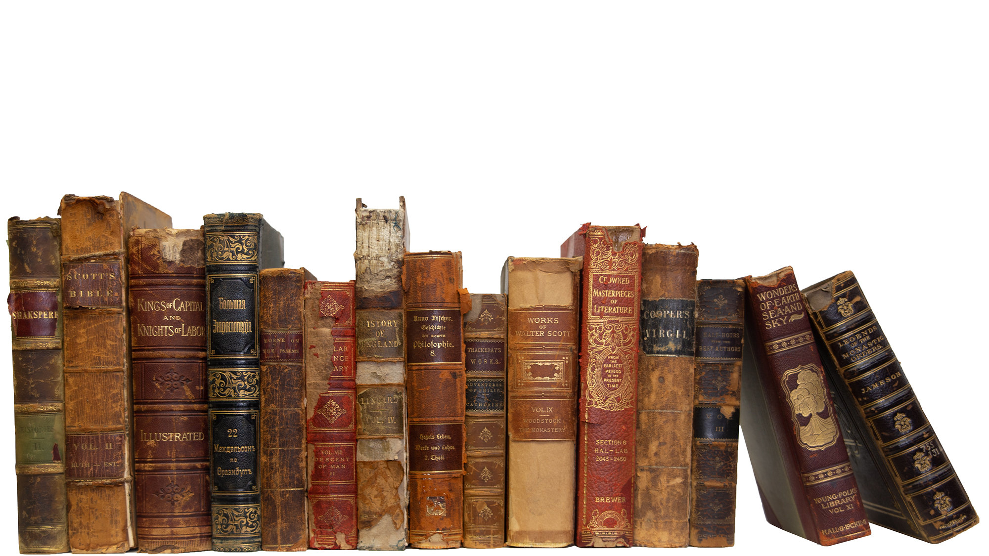 Booth & Williams Distressed Leather Books: Color by The Foot Decorative ...