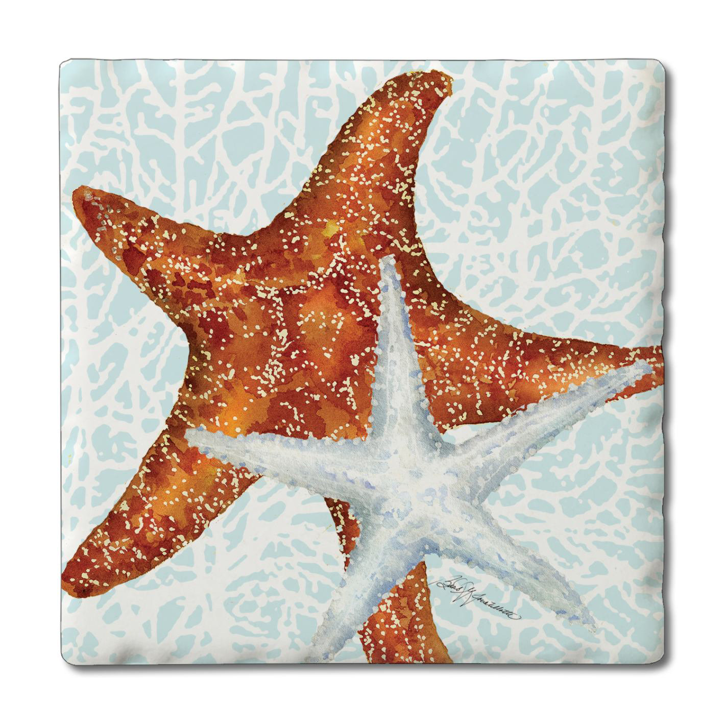 East Urban Home Thirstystone "Seas The Day Starfish" 4-Pack Tumbled ...