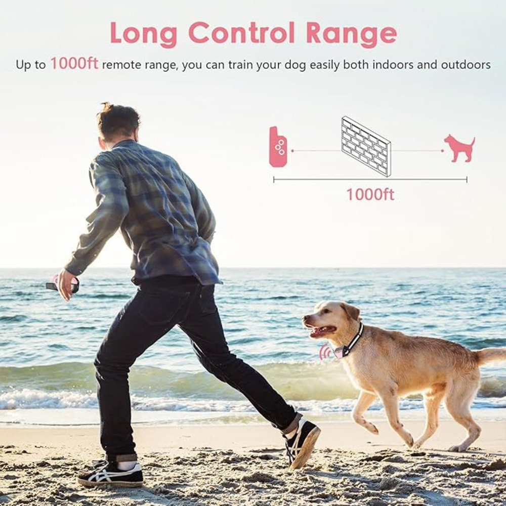 Invenitiah Portable Static Dog Training Collar | Wayfair